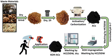Fabrication of waste biomass-derived KOH activated carbon for enhanced ...