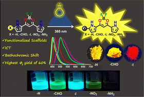 Functionalized 1,3-dipyrrolyl-1,3-diketone difluoroboron complexes ...