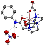 Di- and tri-valent metal complexes with tris-amide-functionalised 1,4,7 ...