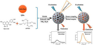 Preparation of a fluorescence sensor based on molecularly imprinted ...