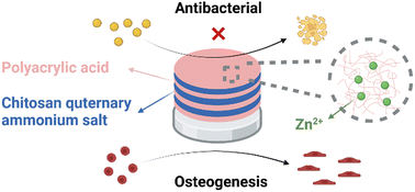 Layer-by-layer assembly of chitosan quaternary ammonium salt ...