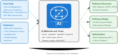 Molecular insights fast-tracked: AI in biosynthetic pathway research ...