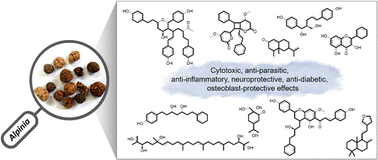 Phytochemical and pharmacological properties of the genus Alpinia from ...