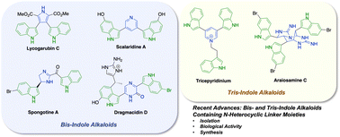 Advances in the total synthesis of bis- and tris-indole alkaloids ...