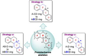 Retracted Article: Recent advances in total synthesis of protoberberine ...