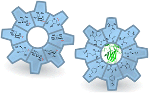 Chemical synthesis and functional evaluation of glycopeptides and ...