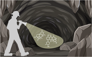 Subterranean marvels: microbial communities in caves and underground ...