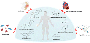Privileged natural product compound classes for anti-inflammatory drug ...