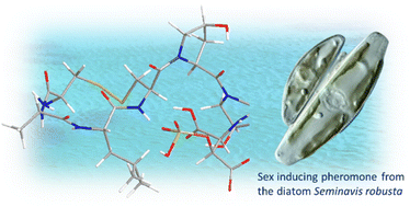 Marine natural products - Natural Product Reports (RSC Publishing)