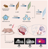 Bionic nanotheranostic for multimodal imaging-guided NIR-II ...