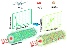 Non-metallic plasmon-assisted upconversion fluorescence for ...