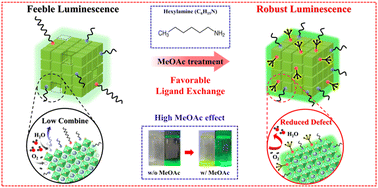 Surface defect mitigation via alkyl-ligand-controlled purification for ...