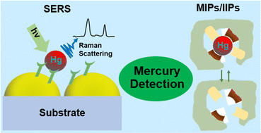Advancements in mercury detection using surface-enhanced Raman ...
