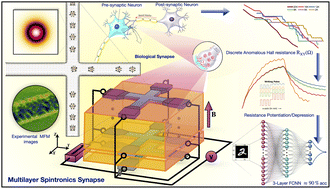 Multilayer ferromagnetic spintronic devices for neuromorphic computing ...