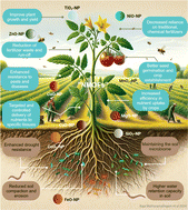 Nano-sized metal oxide fertilizers for sustainable agriculture ...