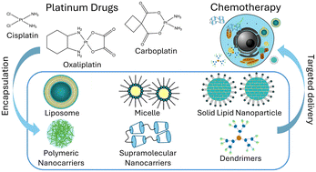 Platinum-based chemotherapy: trends in organic nanodelivery systems ...