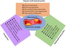 Fluorescent probes for imaging: a focus on atherosclerosis - Nanoscale ...