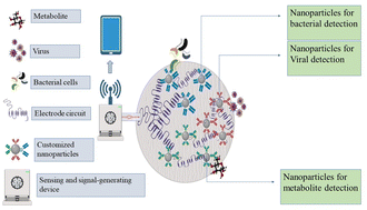 Breaking boundaries in microbiology: customizable nanoparticles ...