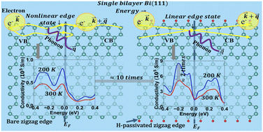 Electron–phonon interactions at the topological edge states in single ...