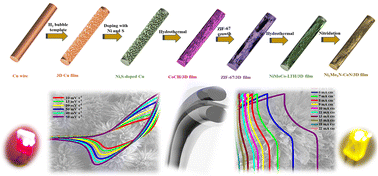 Ni,S co-doped Cu dendrites decorated with core–shell architecture ...