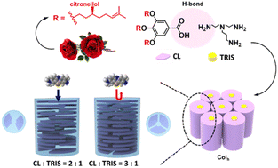 Self-assembled nanostructured membranes with tunable pore size and ...