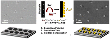 Electrochemical deposition of gold nanoparticles on carbon ...