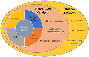 Single and dual-atom catalysts towards electrosynthesis of ammonia and ...