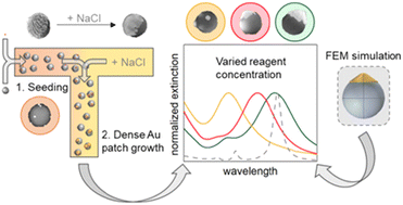 Continuous flow synthesis and simulation-supported investigation of ...