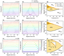Metamagnetic transition and meta-stable magnetic state in Co-doped ...