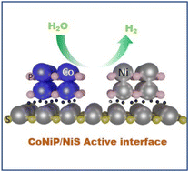 Synergistic interfacial electronic modulation of topotactically ...