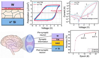 Influence of the TiN diffusion barrier on the leakage current and ...