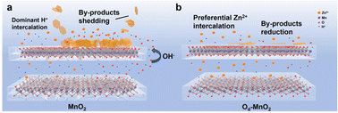 Inducing preferential intercalation of Zn2+ in MnO2 with abundant ...