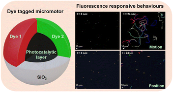 Engineering light-driven micromotors with fluorescent dye coatings for ...