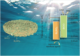 Active site-exposed Bi2WO6@BiOCl heterostructures for photocatalytic ...