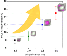 Exploring size-dependent optical property alterations in fine-tuning ...