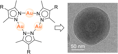 Nano onions based on an amphiphilic Au3(pyrazolate)3 complex ...