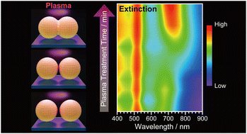 Plasma-induced nanogap narrowing and morphological transformation in ...