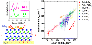 Thermally induced correlation effects studied by Raman spectroscopy in ...
