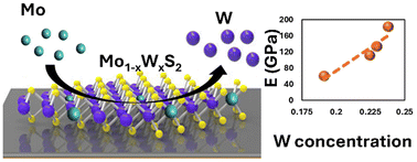 Mechanical modulation of 2D transition metal dichalcogenide alloys ...