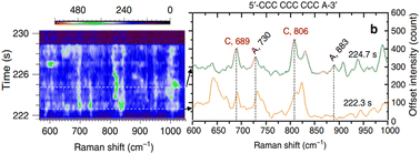 Advances and applications of dynamic surface-enhanced Raman ...