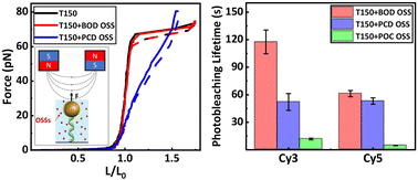 An oxygen-scavenging system without impact on DNA mechanical properties ...