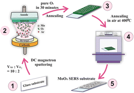 Nanorod structure tuning and defect engineering of MoOx for high ...