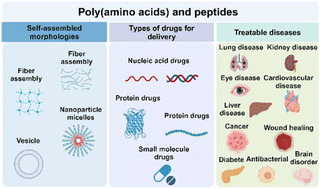 Recent advances in poly(amino acids), polypeptides, and their ...