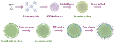 A rapid synthesis of magnetic-core mesoporous silica-shell ...