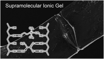 Development of supramolecular ionic gels with self-healing capability ...