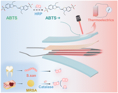 Laser-assisted thermoelectric-enhanced hydrogen peroxide biosensors ...
