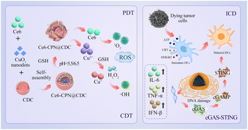 H2O2 self-supplying nanoparticles for chemodynamic and synergistic ...