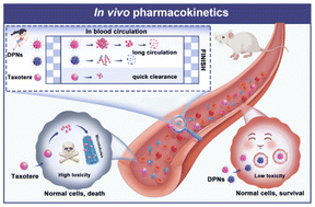 An assembly modules deformation strategy improved the chemical ...