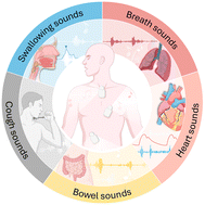 Flexible, wearable mechano-acoustic sensors for body sound monitoring ...