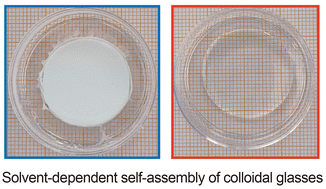 Self-assembled colloidal glass with 100% lanthanide nanocrystal loading ...